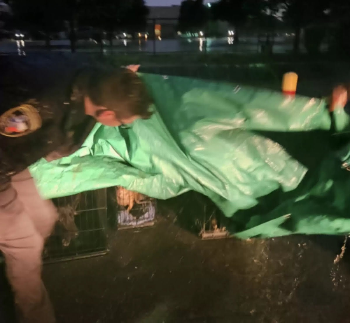 Volunteer Discovers Heartbreaking Scene Hidden Under a Tarp at His Shelter